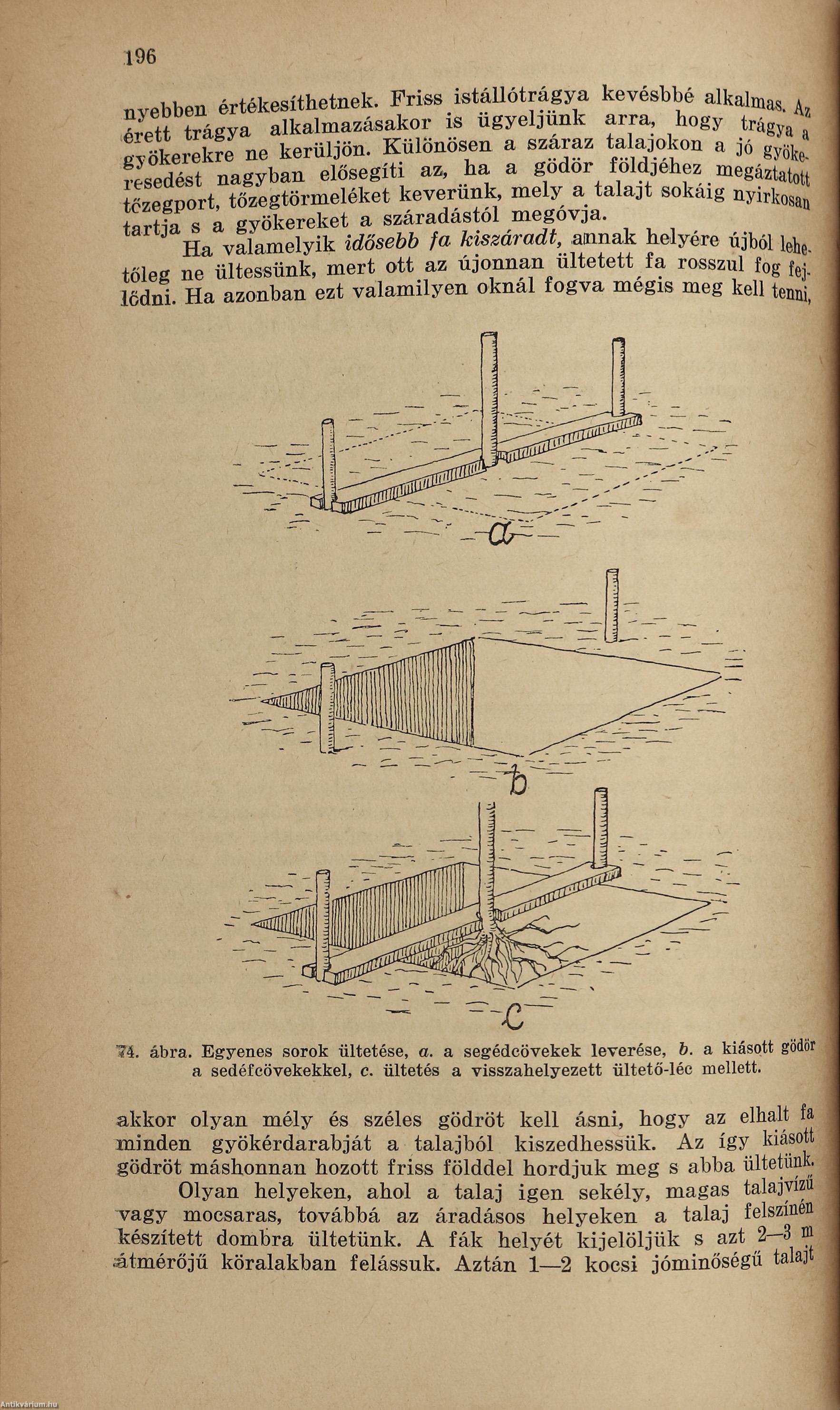 A gyümölcstermesztés kézikönyve